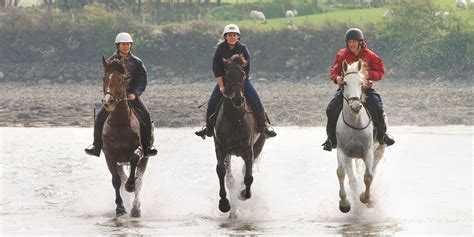 Things To Do In Westport Mayo Activities In Westport