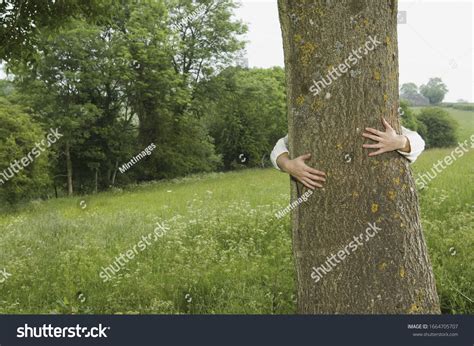 Person Hugging Tree Stock Photo Shutterstock