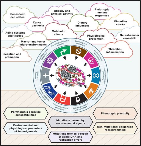 Embracing Cancer Complexity Hallmarks Of Systemic Disease Cell