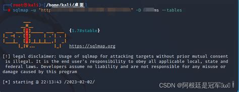 Sqlmap的详细介绍sqlmap是什么 Csdn博客