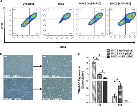Comparative Fluorescence Activated Cell Sorting FACS Analysis Of Download Scientific Diagram
