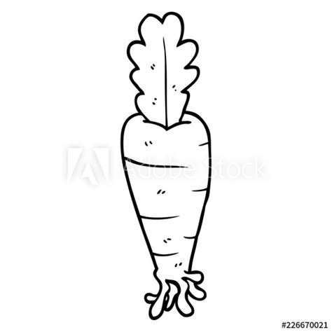 Parsnip Drawing At Explore Collection Of Parsnip