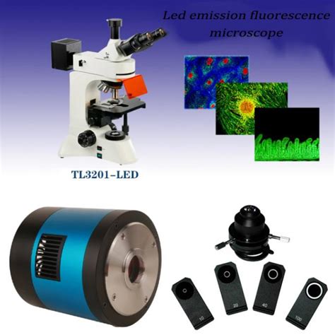 Tl3201 Led Falling Led Fluorescence Microscope For Transmission Field