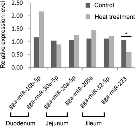 Validation Of The Selected Mirna Expression Profiles By Qrt Pcr The