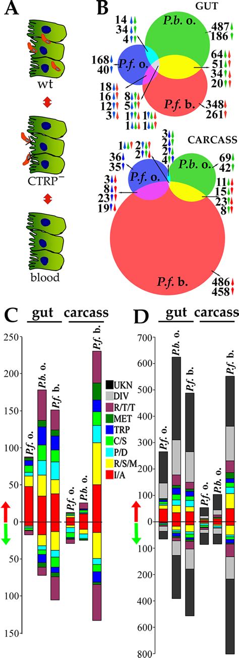 Experimental Design And Global Gene Expression Patterns At The Download Scientific Diagram