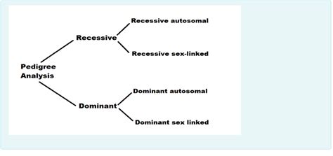 Solved Analysisuse The Following Pedigree To Answer