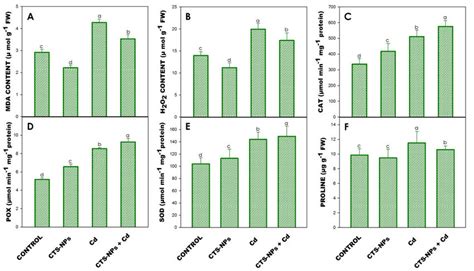 Effect Of Foliar Application Of Chitosan Nanoparticles Cts Nps On The