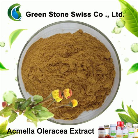 Acmella Oleracea Extract Buy Price Supplier Manufacturer From Green Stone