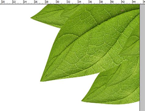 How To Create A D Leaf From A Texture Photograph