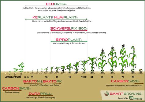 Mais Witteler Naturkalke