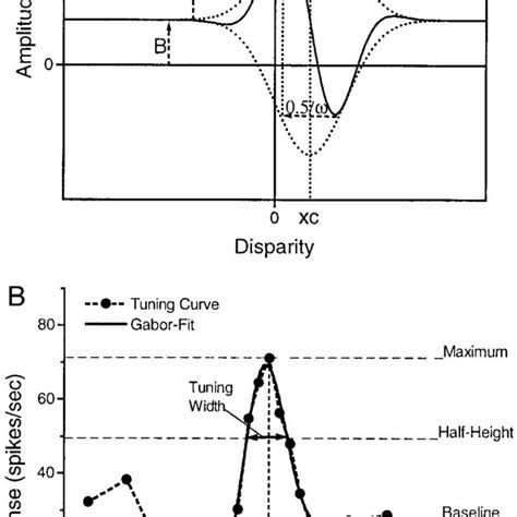 Extraction Of Quantitative Parameters By Fitting A Gabor Function To