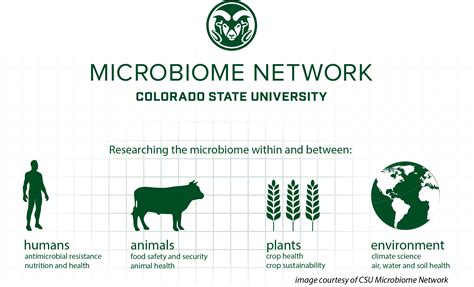 Csu Microbiome Network Microbial Ecosystems Lab