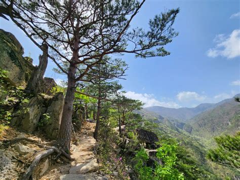 두타산 무릉계곡 베틀바위 산성길 등산코스 무릉계곡 관리소 베틀바위전망대 12산성폭포 용추폭포 쌍폭포 관리소 원점회귀 네이버 블로그