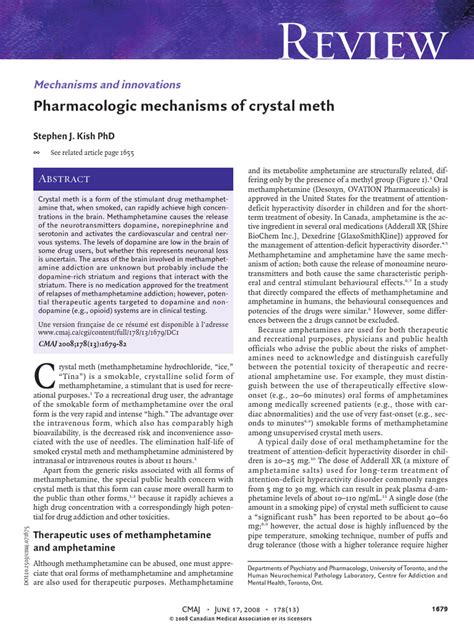 1679 Full Pdf Methamphetamine Dopamine