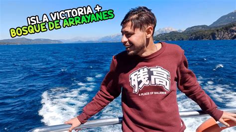 🤗¿se Pueden Abrazar Los Arboles Del Bosque De Arrayanes🌳 Youtube
