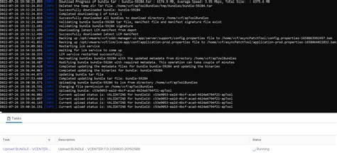 Deploy Critical Patches For Vcf With The Async Patch Tool Whilst Maintaining Upgradability
