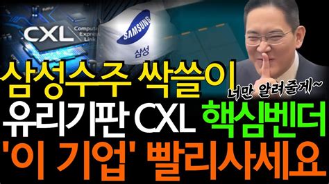 주식 유리기판을 완성시킬 Cxl용 D램 삼성전자의 수주를 싹쓸이할 이 기업 대박납니다 삼성전자 5월주식전망 와이씨켐 필옵틱스전망 유리기판대장주 유리기판