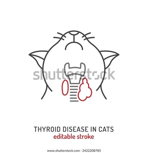 Hyperthyroidism Cats Linear Icon Pictogram Symbol Stock Vector Royalty Free 2422208785