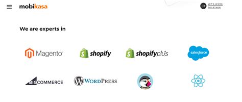 [top 11] Best Magento Development Company In India 2024