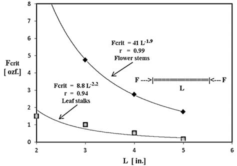 Stem Buckling And Leaf Buckling Data Confirming The Euler Buckling Download Scientific Diagram