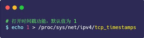 4 5 如何优化 Tcp 小林coding