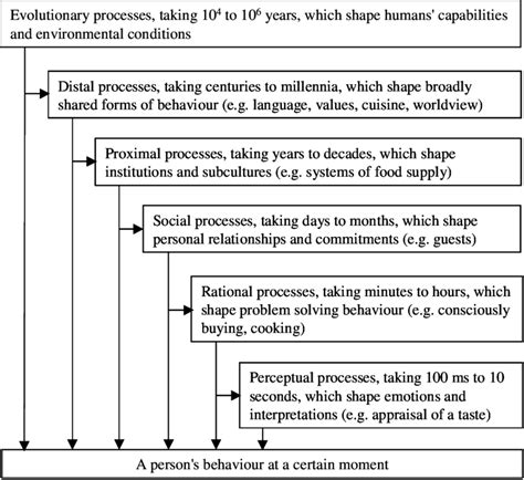 A Cascade Like Framework Of Influences On Behaviour Download