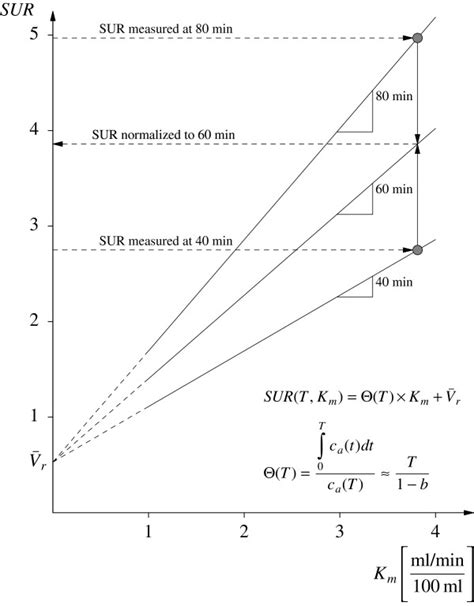 Schematic Explanation Of How Correction For Scan Time Variability Is