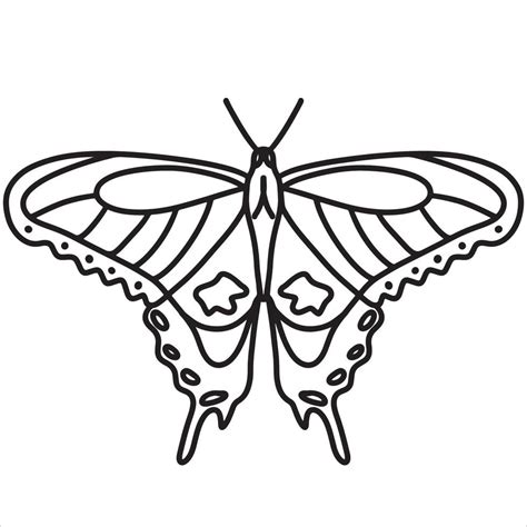 Butterfly Outline Hand Drawing Doodle 10523234 Vector Art At Vecteezy