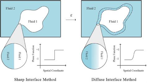 Two Phase Flows With Bulksurface Interaction Thermodynamically Consistent Navierstokescahn