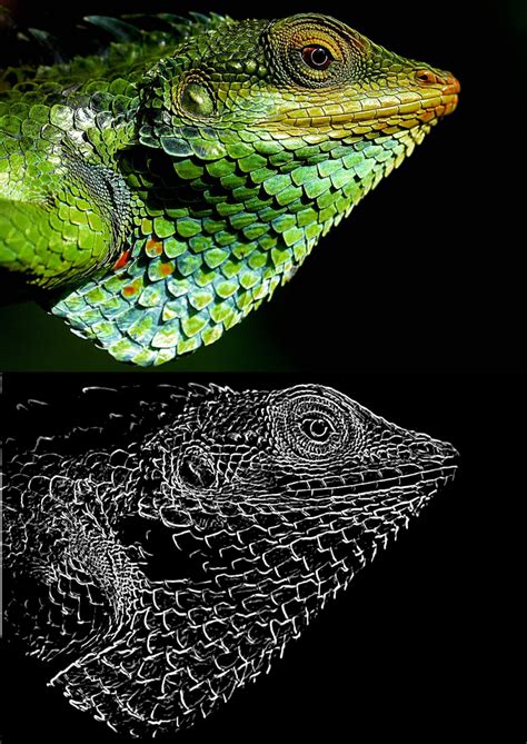 Github Pcichowski Edge Detection Edge Detection On Achromatic Images Written In Pure C