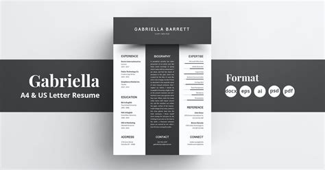 Resume Graphic Templates Envato Elements