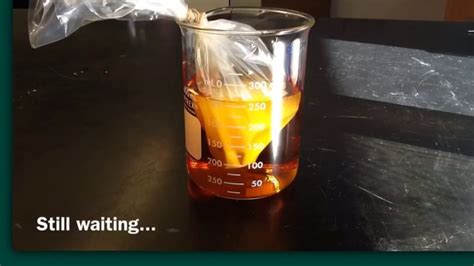 Osmosis Diffusion Lab Iodine Starch At Stanley Urbina Blog