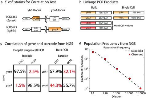 Droplet Based Single Cell Sequencing Preserves Genomic Structure And Download Scientific
