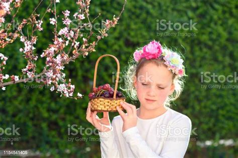 화창한 정원에서 신선한 과일로 포즈를 취한 귀여운 소녀 포도의 바구니와 어린 소녀입니다 Shavuot에 대한 스톡 사진 및 기타 이미지 Shavuot 가을 가족