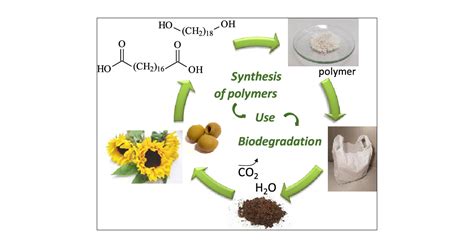 Synthesis Of Linear Polyesters From Monomers Based On 1 18 Z Octadec 9 Enedioic Acid And Their