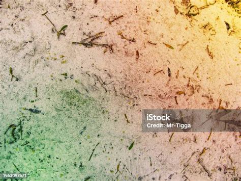 모래와 바위 숲 지상 질감 숲 바닥의 질감입니다 모래와 소나무 바늘 모래 가지가 있는 유기적인 질감 0명에 대한 스톡 사진 및 기타 이미지 Istock