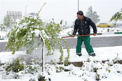 عکسهای بارش برف کرج فروردین ۹۷