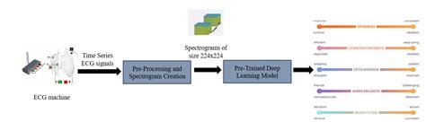 240204326 Personality Trait Recognition Using Ecg Spectrograms And Deep Learning