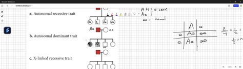 Solved A Man With A Specific Unusual Genetic Trait Marries An