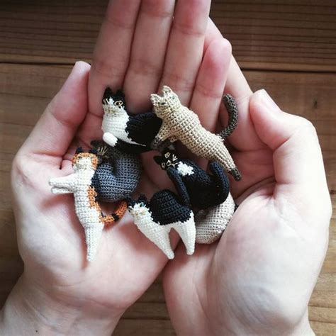 Polett Zazueta Polett Zo Perfil Pinterest