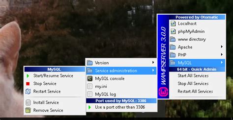 Service Wamp Displays Orange Icon Apache Is Running And Mysql Wont