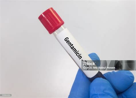 Blood Sample For Gentamicin Level Test Drug Therapy And Monitor Patient