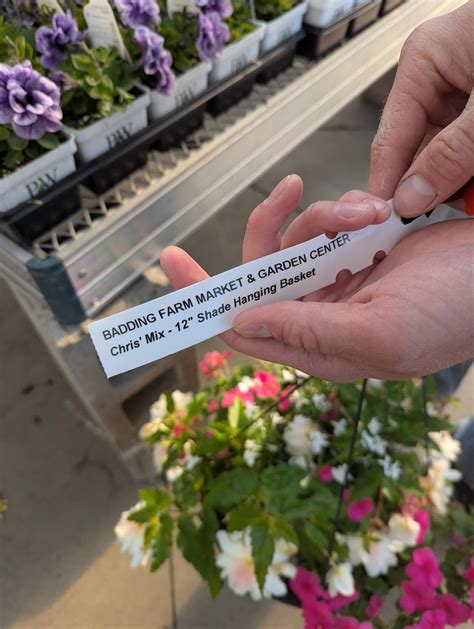 Badding Farm Market Badding Farm Market And Garden Center