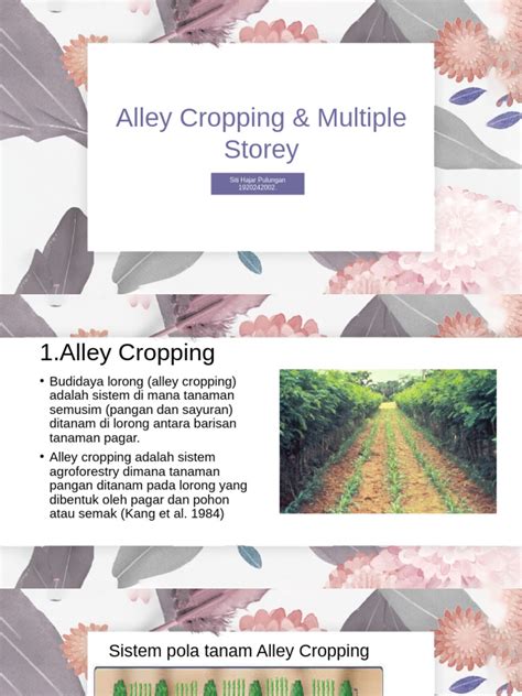 7 alley croping and multiple storey pdf