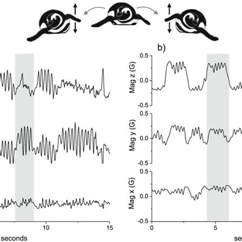 A Time Series Plot Of 40 Hz Tri Axial Acceleration Data A And Download Scientific Diagram