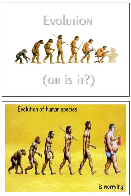 Figure Evolution Of Man Note Not Sexist Just Couldn T Find Equivalent Cartoons With Women
