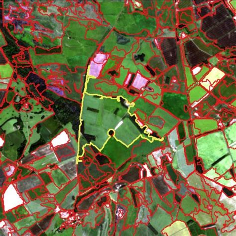 Example Of Visual Comparison Between Section Of Ecognition Segmentation Download Scientific