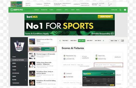 Computer Program Display Advertising Web Page Brand Png 800x532px