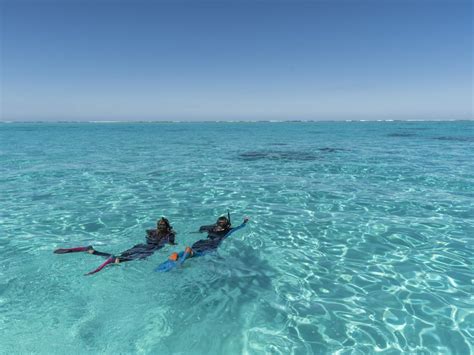 Snorkelling In New Caledonias Stunning Lagoon New Caledonia Tourism