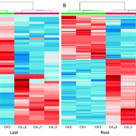 Heatmap Clustering Of The Relative Contents Of The Differential